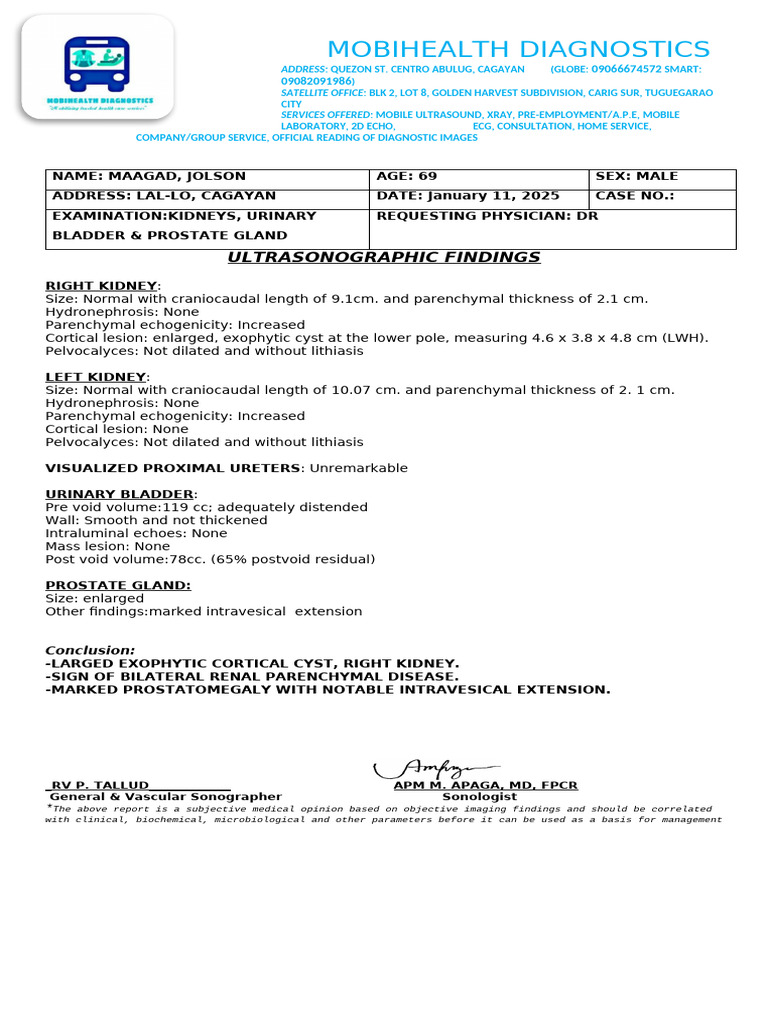 MAAGAD, JOLSON | PDF