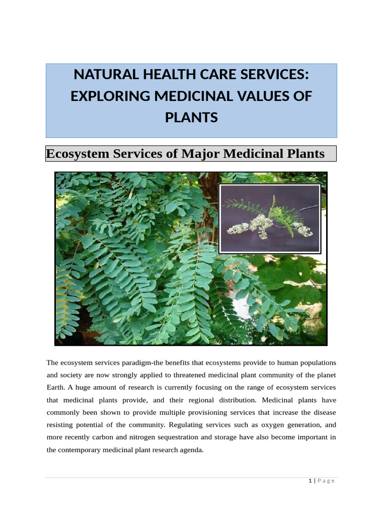 Indeginous Medicinal Plants | PDF | Trees | Ginger