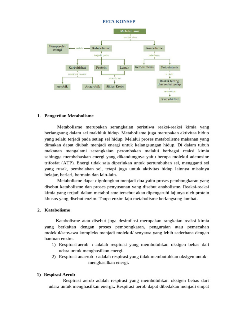 MATERI METABOLISME SINGKAT Epit Magai | PDF