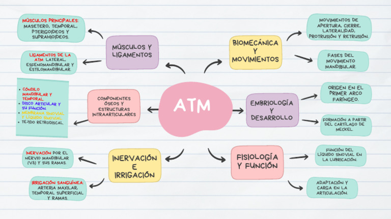 Esquema de la ATM y su Función | PDF