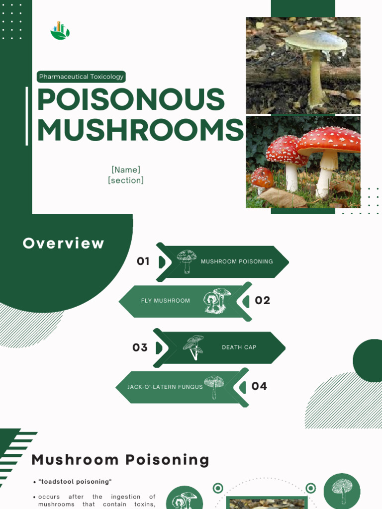 Poisonous Mushrooms | PDF | Toxicology