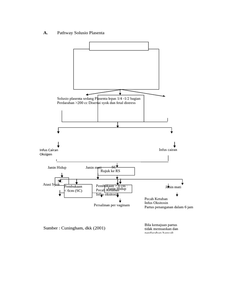 Pathway Solusio-Plasenta | PDF