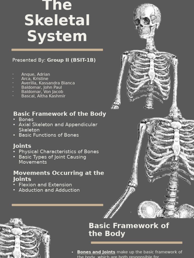 The-Skeletal-System_1 | PDF | Anatomical Terms Of Motion | Skeleton