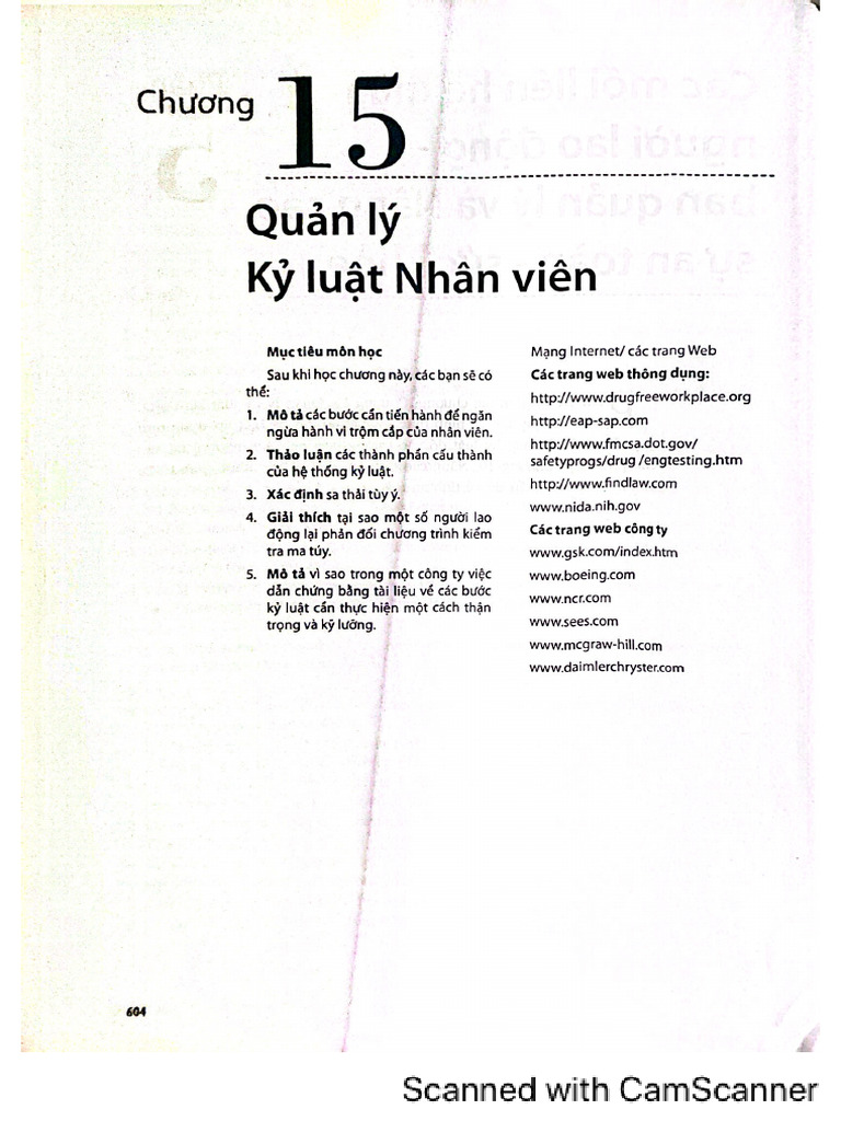 (QTNNL) Quản Lý Kỷ Luật Lao Động | PDF