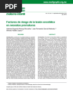 Hemorragias de La Matriz Germinal - Revisión Pictografica y de La ...
