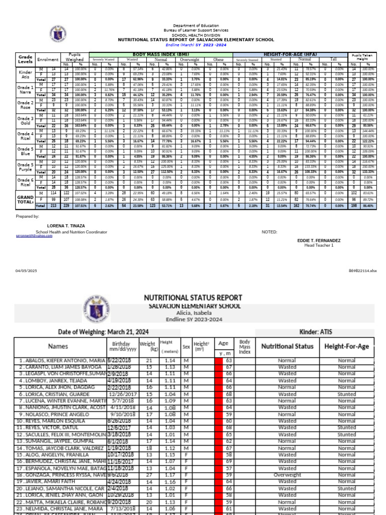 Salvacion Es Endline Nutritional Status Sy 2023 2024 | PDF | Body Mass ...