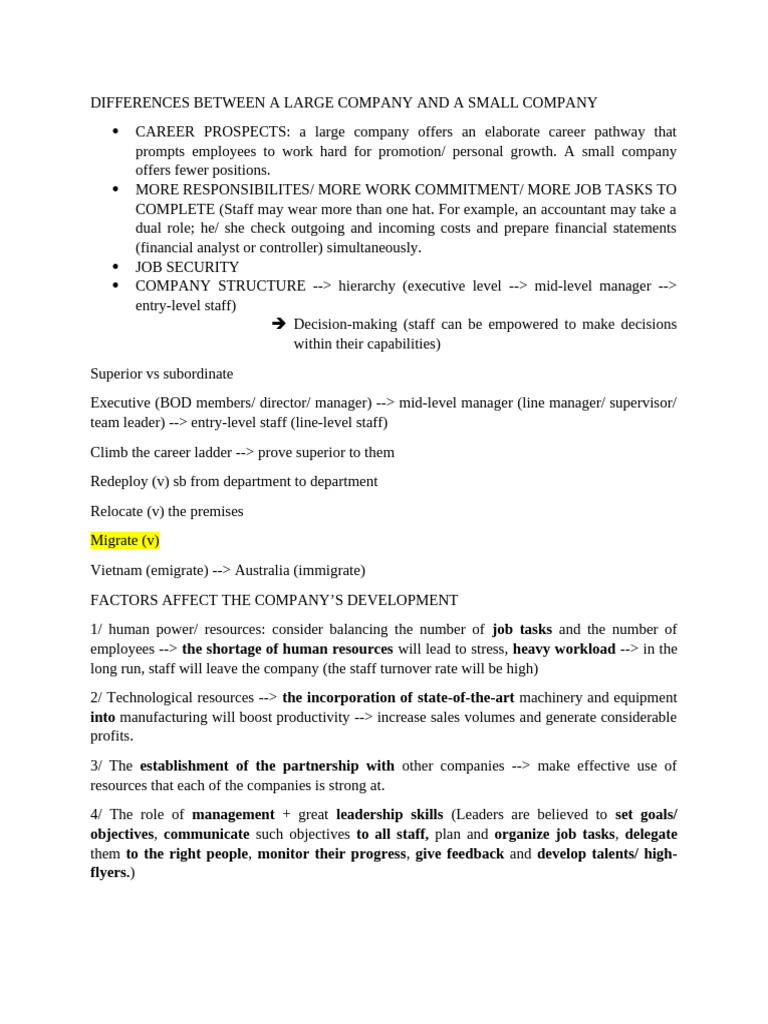 Differences Between A Large Company and A Small Company | PDF ...