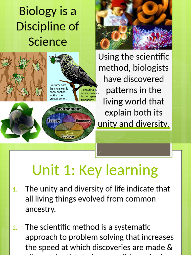 Understanding Life: Unity and Diversity in Biology | PDF | Experiment ...