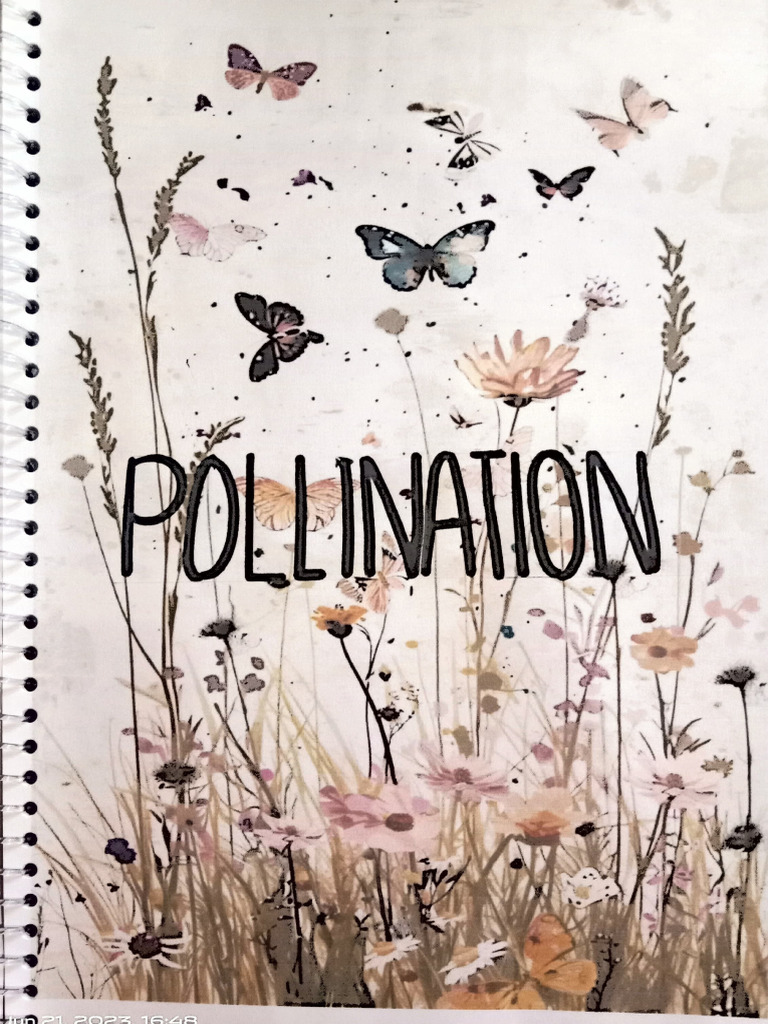 Pollination Project Class 12 | PDF