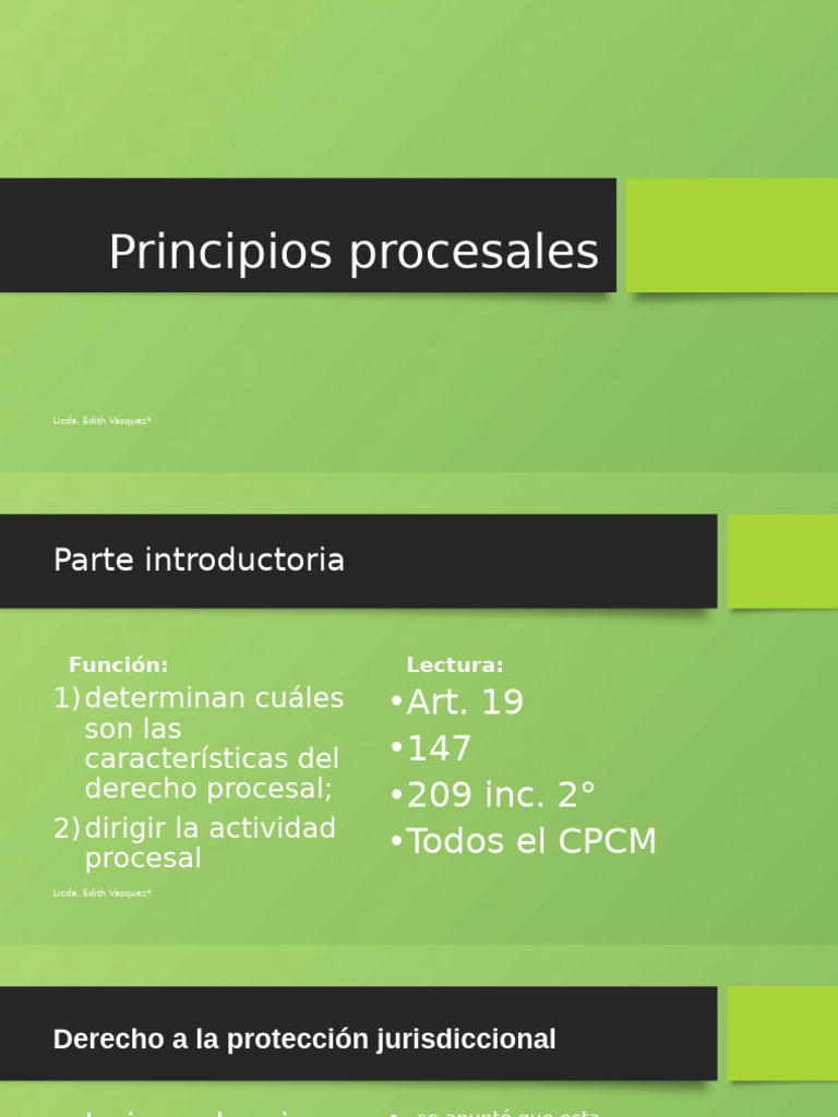 Clase Principios Procesales | PDF | Debido al proceso | Ley procesal