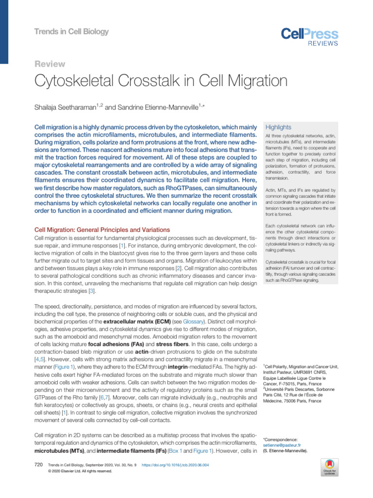 CK crosstalk cell migration_2020-2 | PDF | Cell Migration | Cytoskeleton