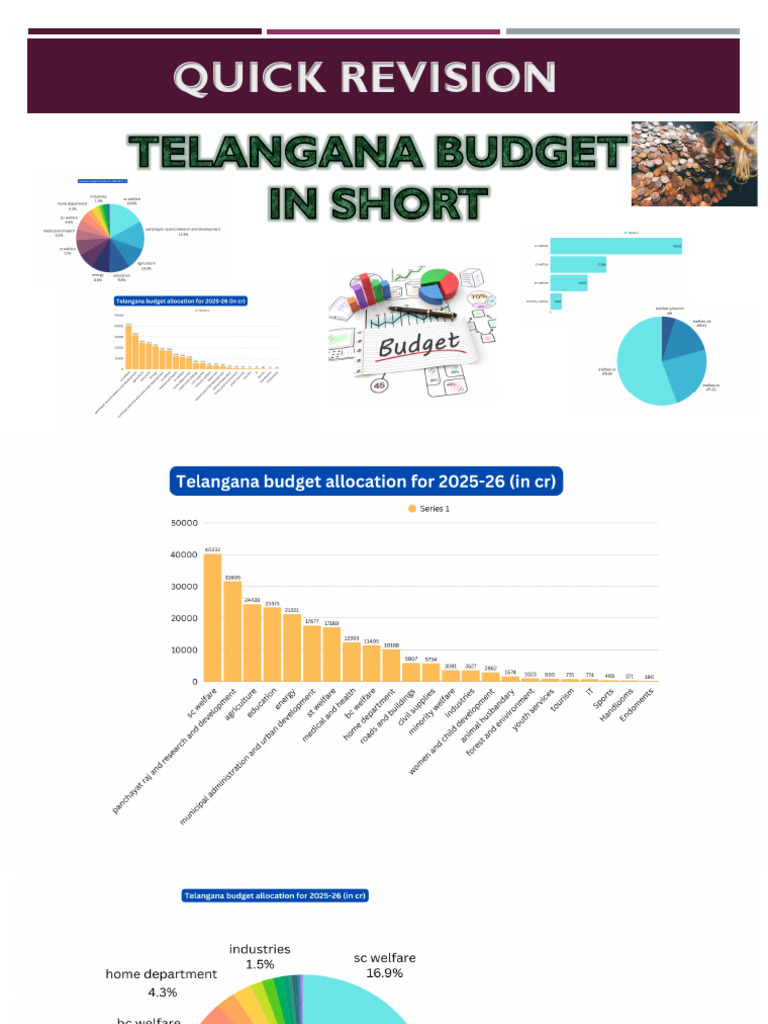 Telangana Budget Allocation | PDF