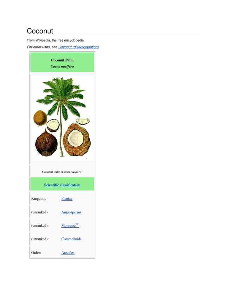 Coconut | PDF | Coconut | Seed