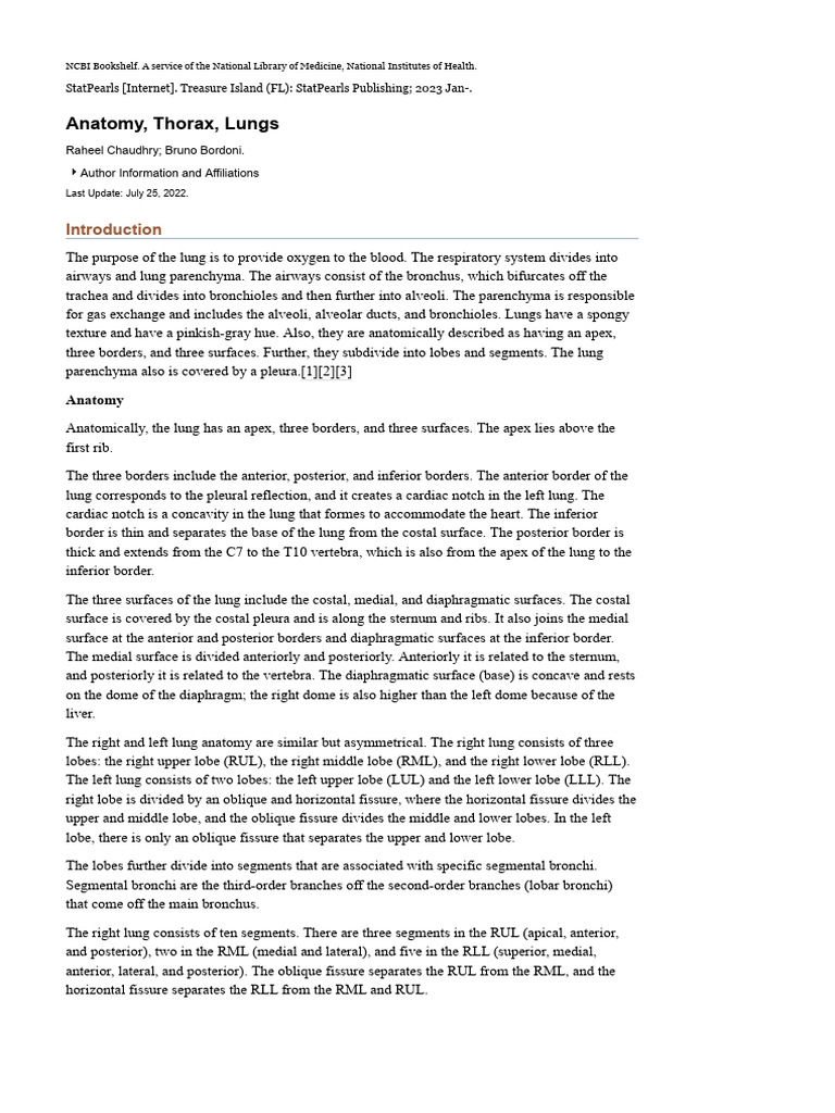 1.anatomy, Thorax, Lungs - StatPearls - NCBI Bookshelf | PDF | Lung ...