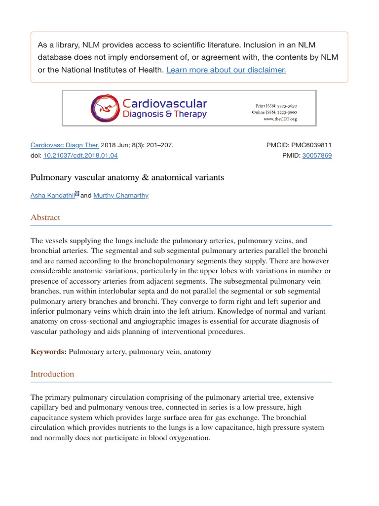 Pulmonary Vascular Anatomy Variants | PDF | Vein | Lung