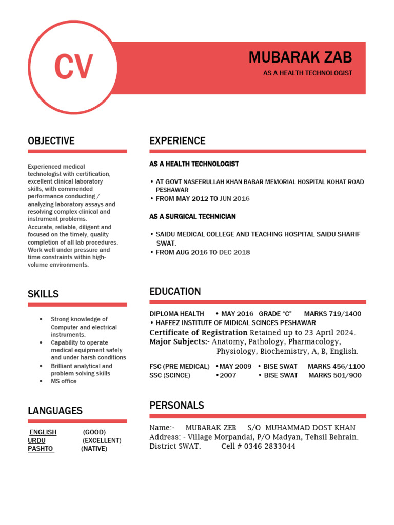 Mubarak Final CV | PDF