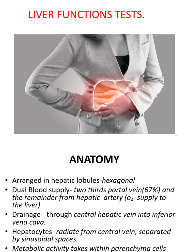 Liver Function Tests Explained | PDF | Liver | Alanine Transaminase