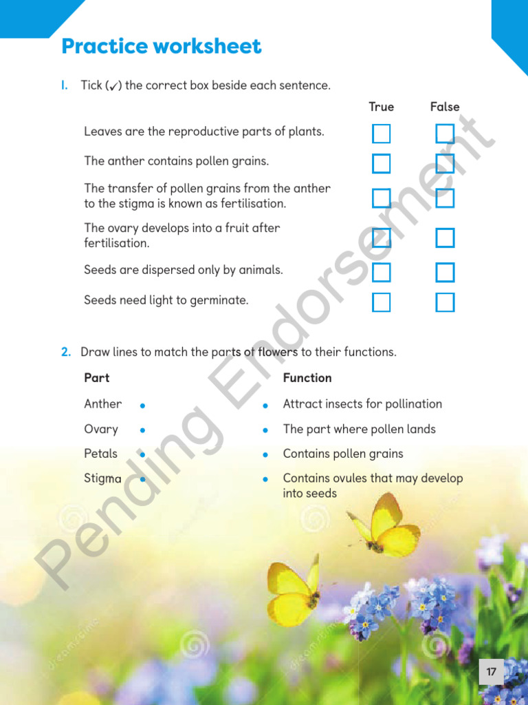 Science FA Review | PDF | Flowers | Petal