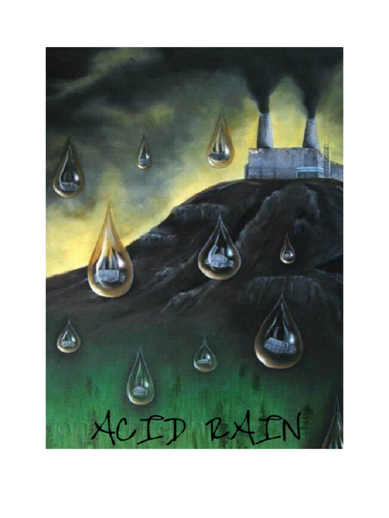 Acid Rain | PDF