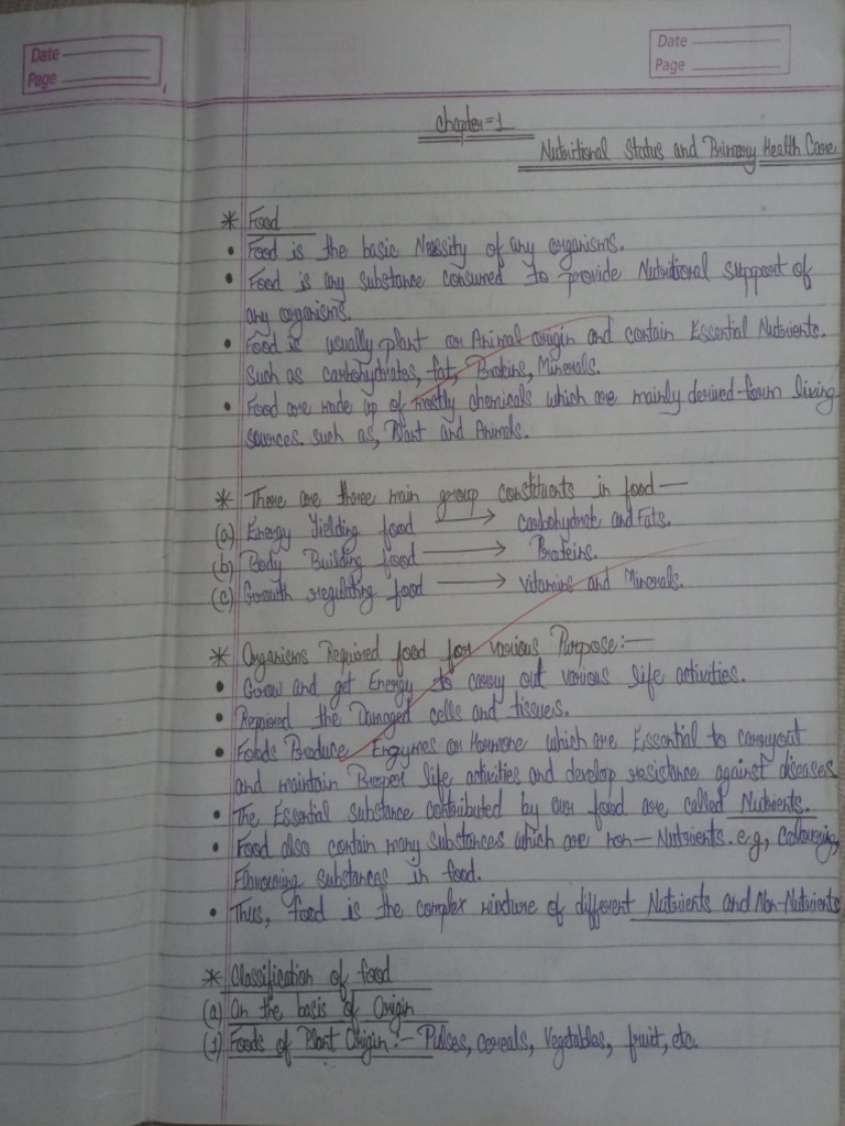 Food and Nutrition Notes 2024-2025 | PDF