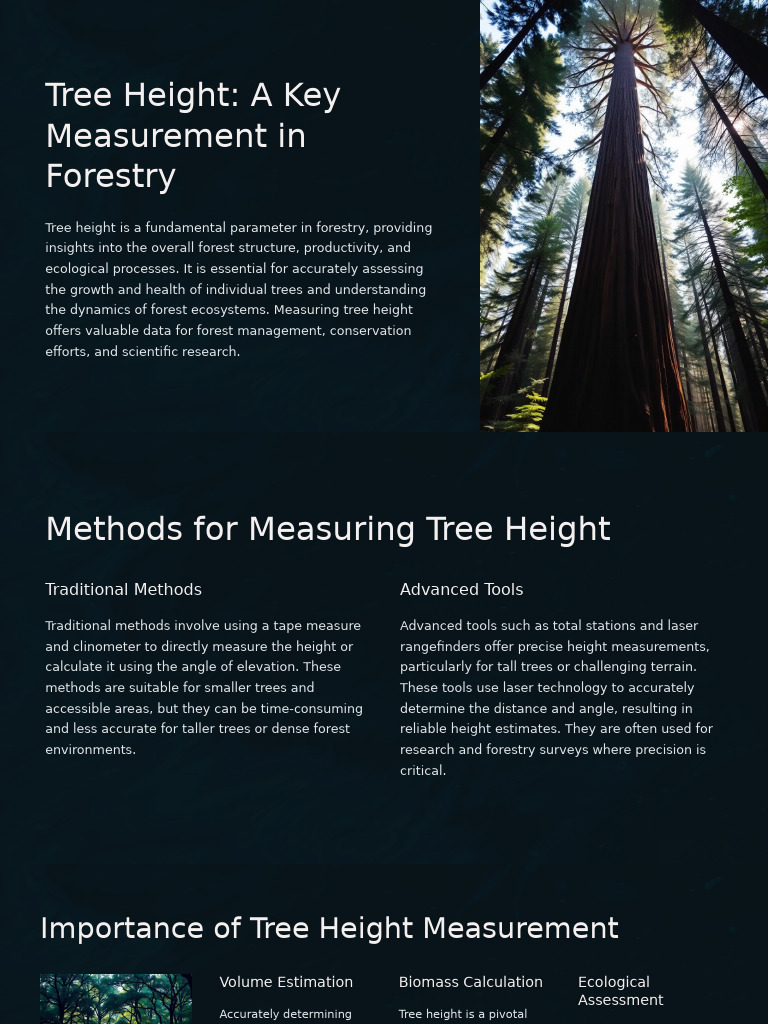 Tree Height A Key Measurement in Forestry | PDF | Forests | Trees