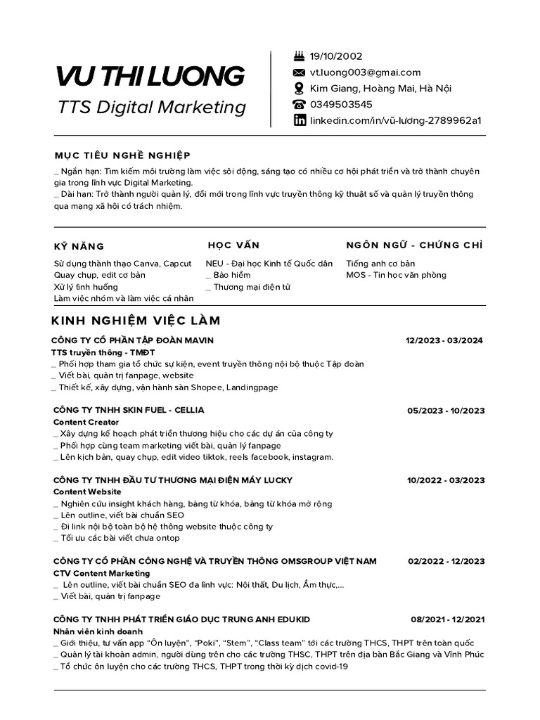 Vu-Luong TTS Digital Marketing | PDF