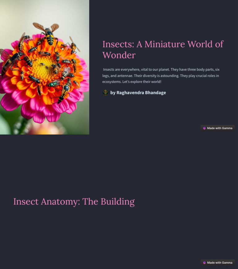 Insects A Miniature World of Wonder | PDF