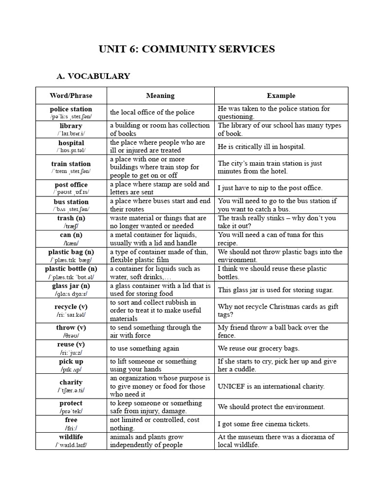 Unit 6-Community Services | PDF