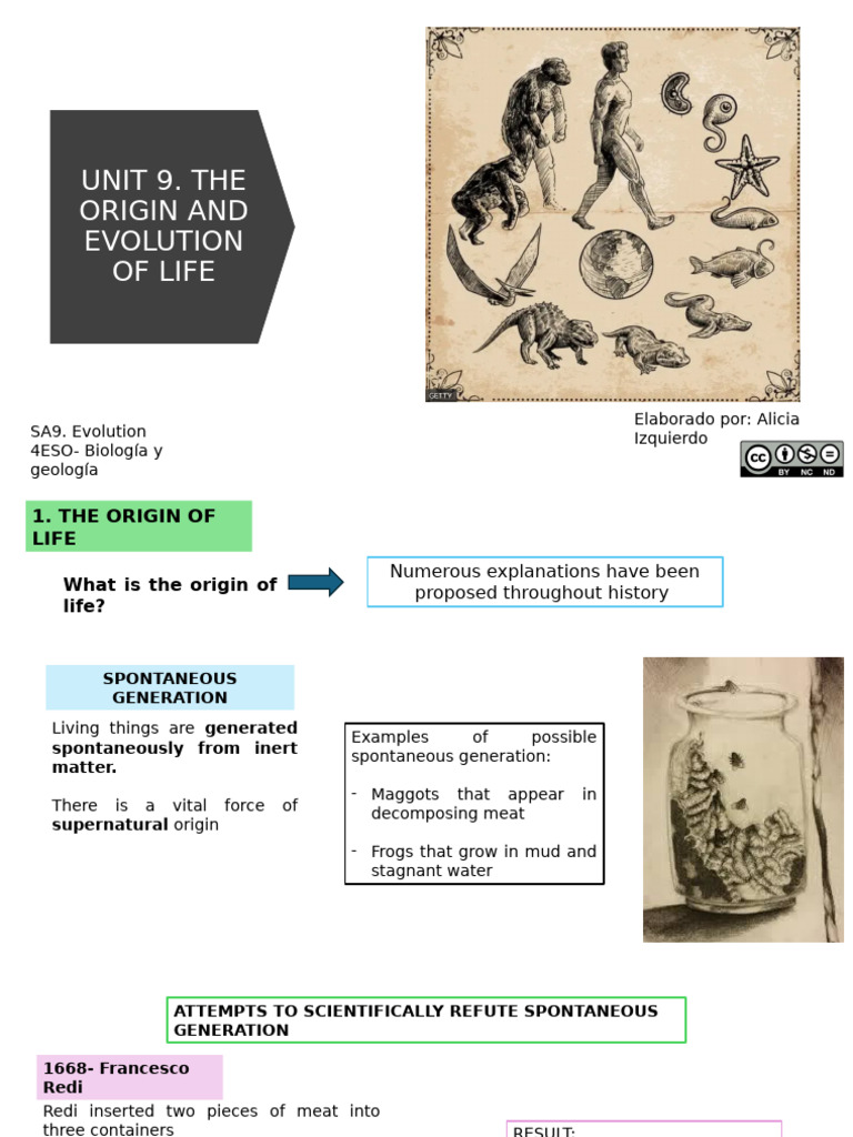 PowerPoint Evolution | PDF | Abiogenesis | Natural Selection