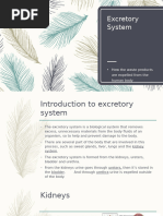 Module Excretory System | PDF | Human Body | Excretion