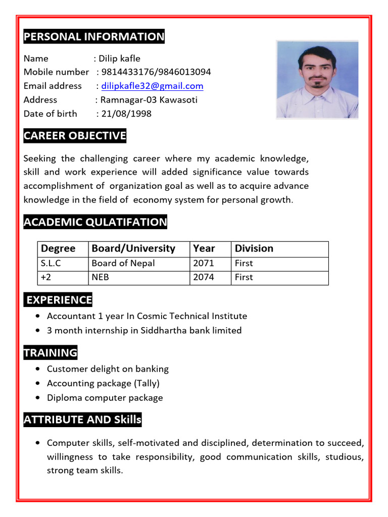 My CV Final | PDF