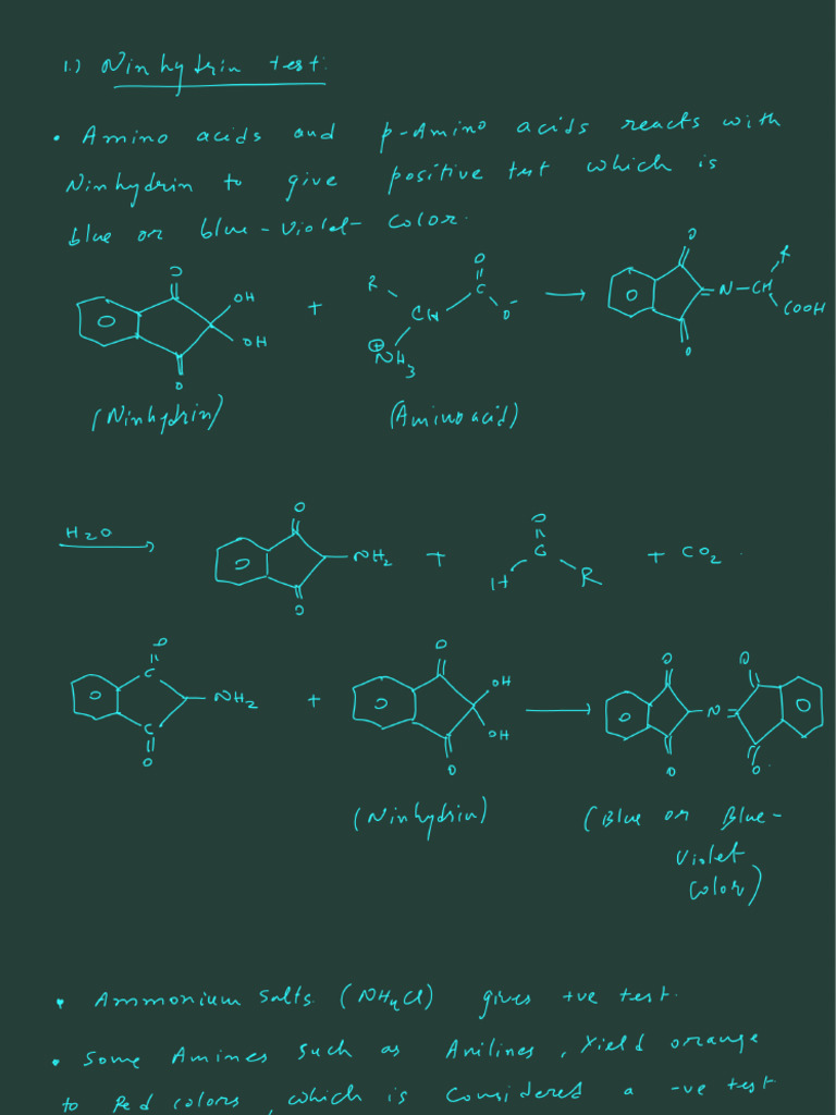 Biomolecules Test | PDF