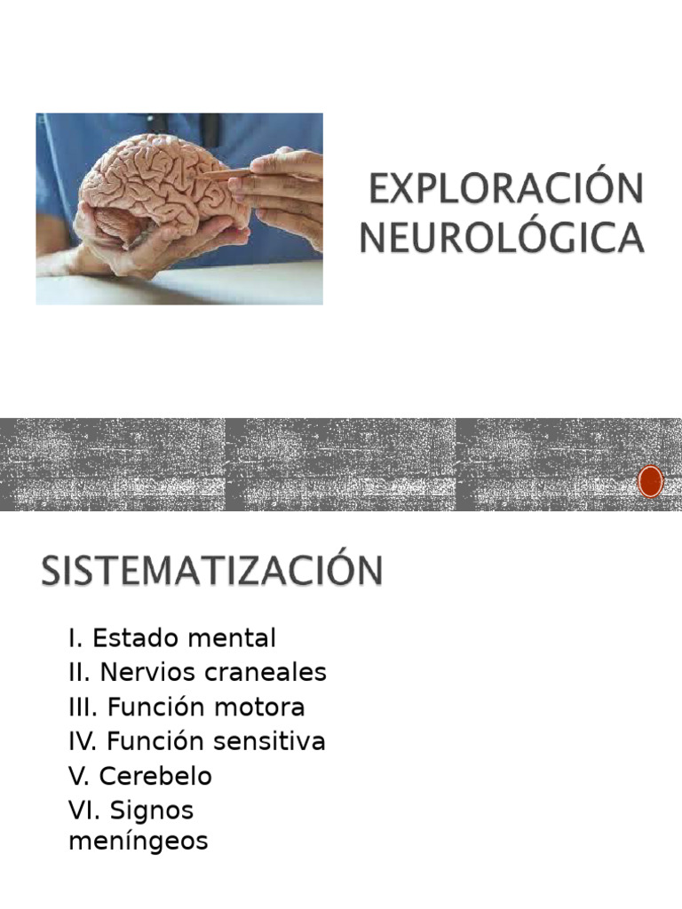 Exploracion Neurologica Pdf Percepción Visual Anatomía Humana