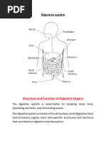 Digestive System Coloring | PDF | Human Digestive System ...