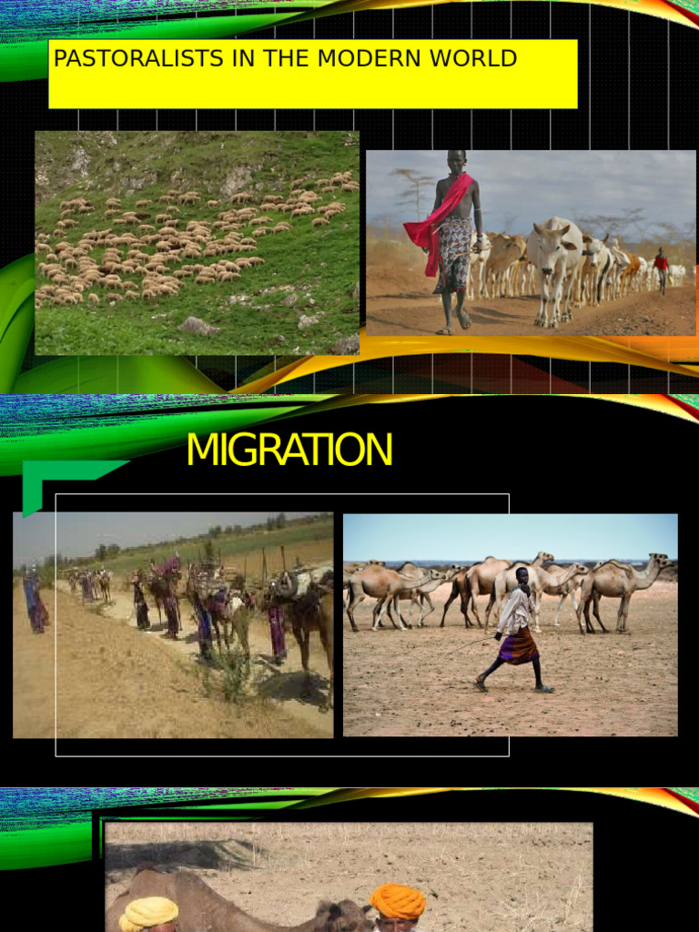 Pastoralists Complete | PDF | Pastoralism | Livestock
