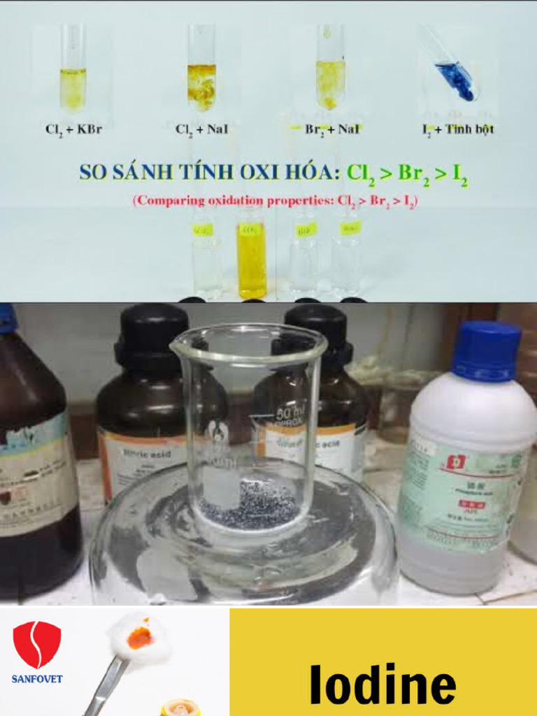 Video Về Iodine | PDF