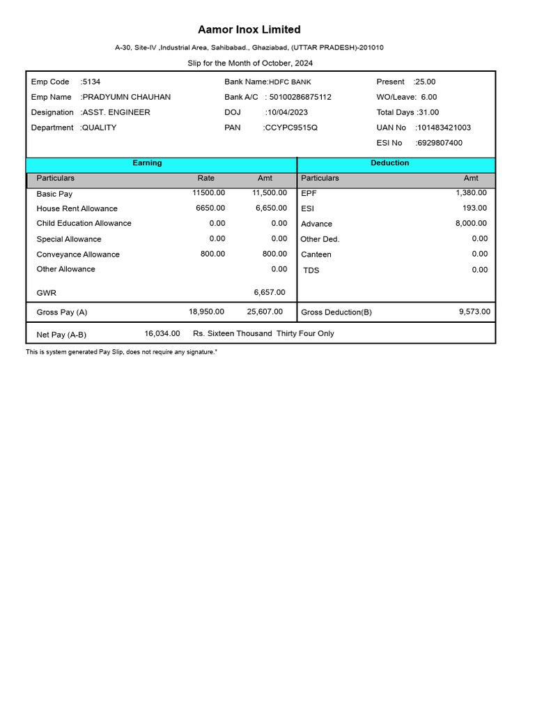 C__PDF_PaySlip_October-2024-5332 | PDF