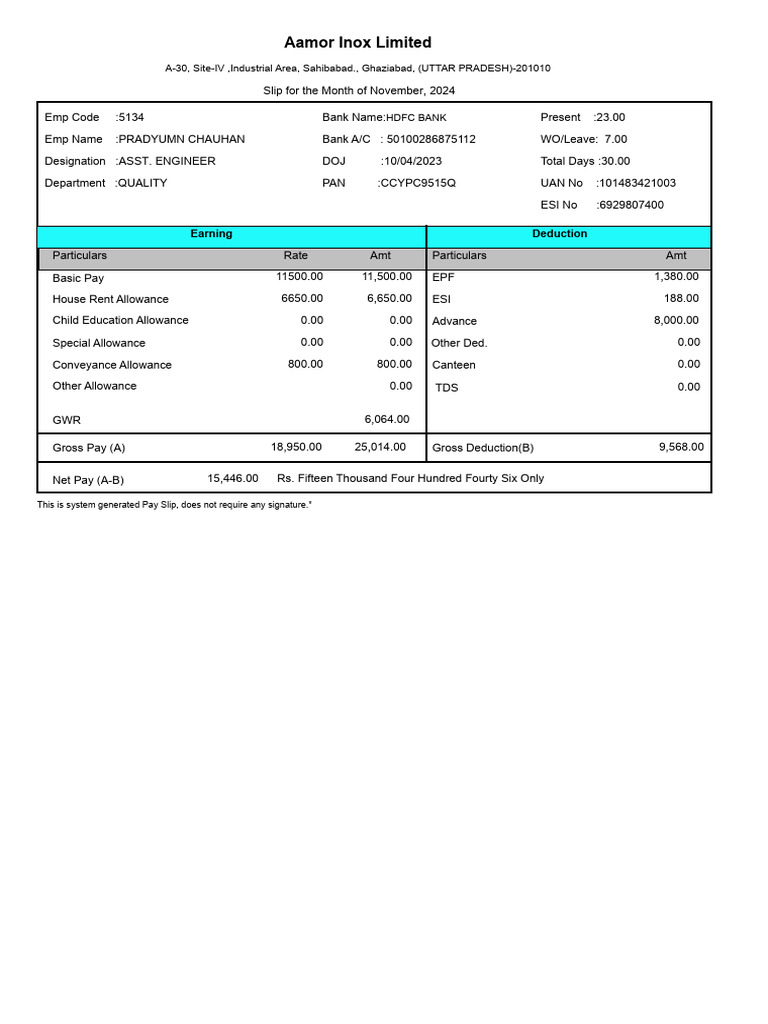 C PDF PaySlip November-2024-5332 | PDF