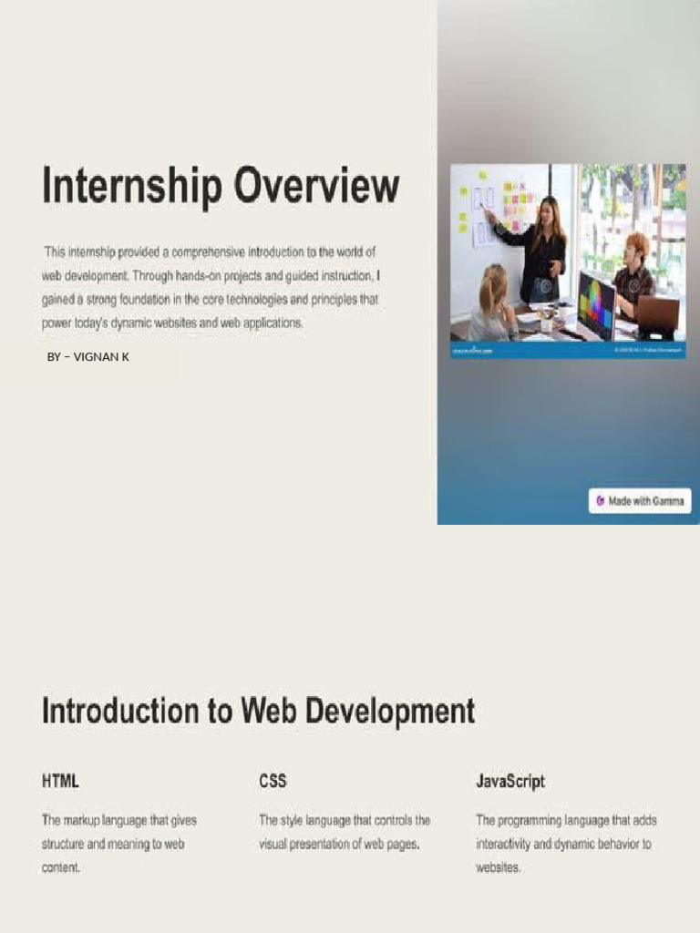 Internship Overview | PDF