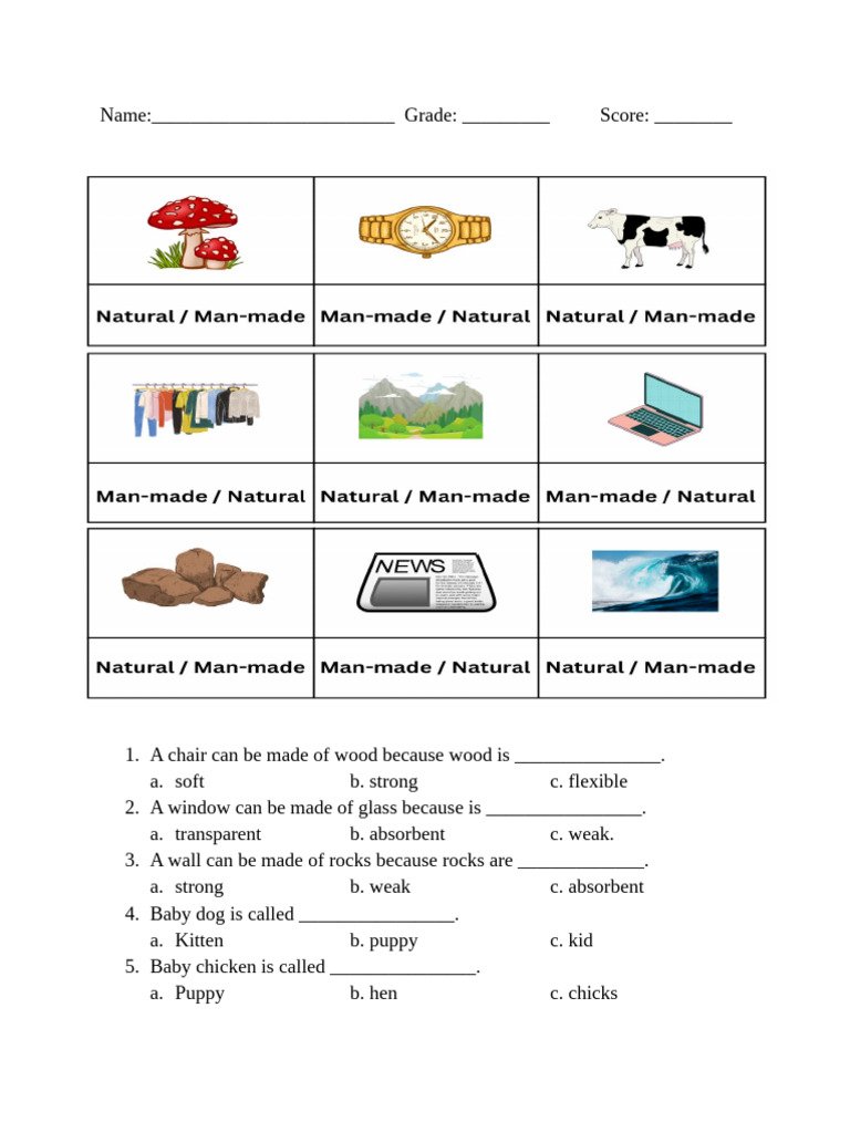 Grade 2 Science Exam | PDF