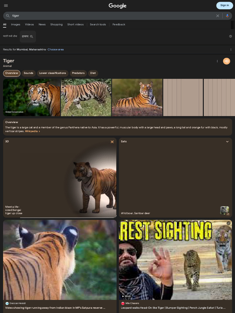tiger - Google Search | PDF | Tiger | Leopard