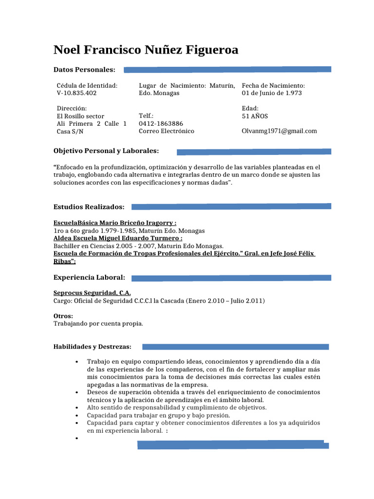 CV de Noel Francisco Nuñez Figueroa | PDF