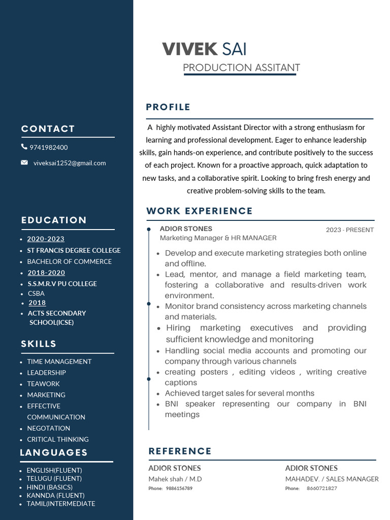 Blue Simple Professional CV Resume | PDF | Learning | Cognition