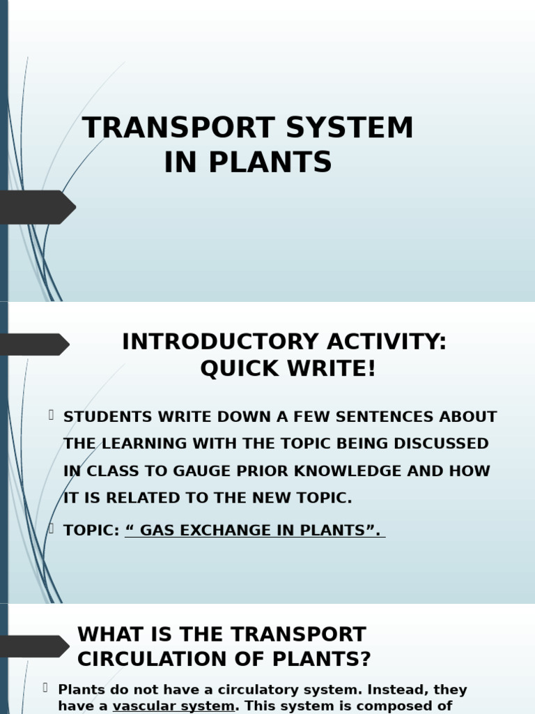 Transport System in Plants | PDF | Plant Stem | Leaf