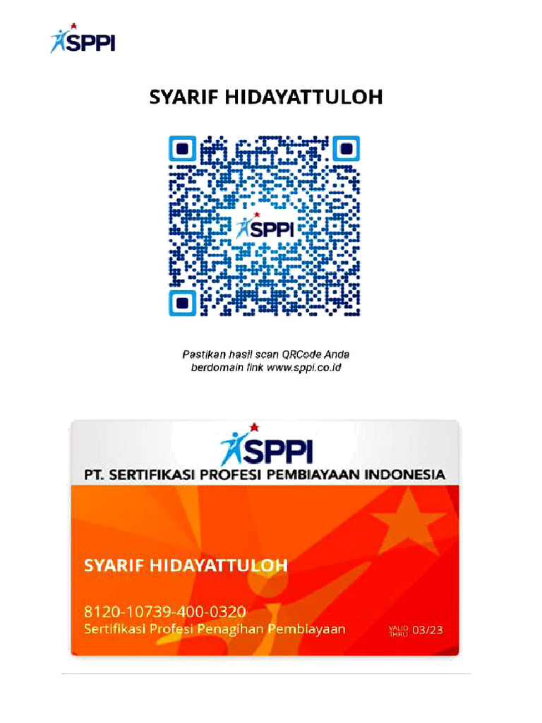 New SPPI OWNER | PDF