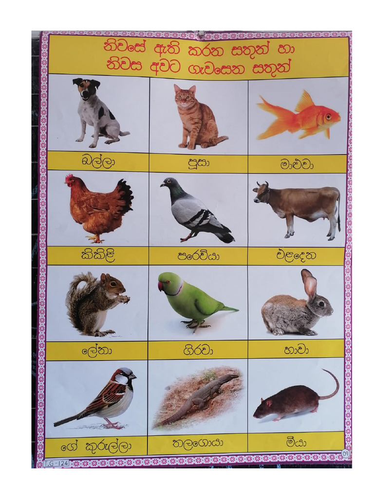 Niwase Sitina Sathun | PDF