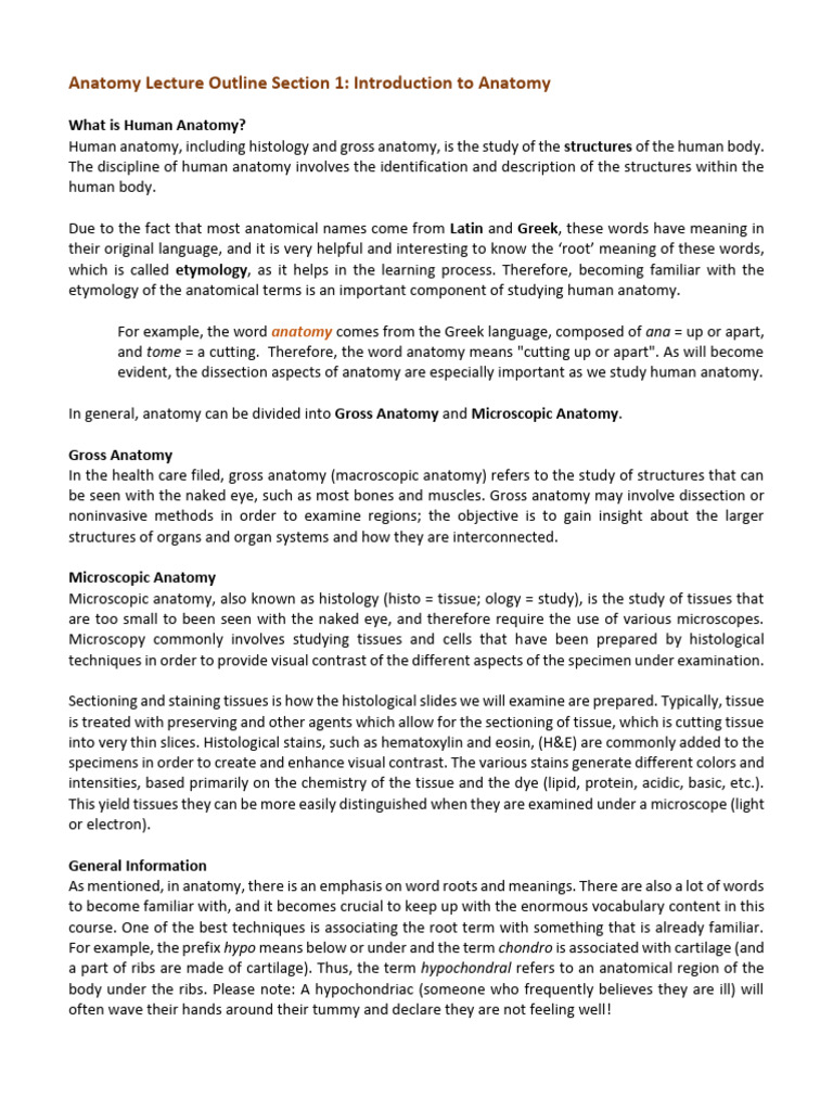 #1 Intro To Anatomy Lecture Notes | PDF | Histology | Human Body