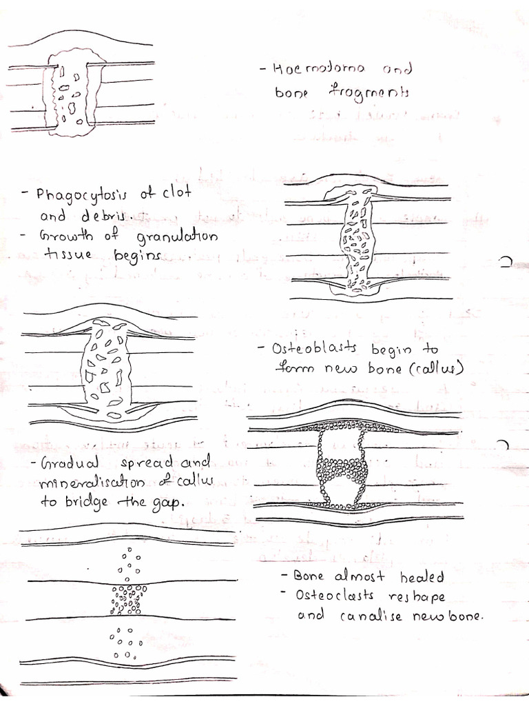 HAP Assignment 1 | PDF