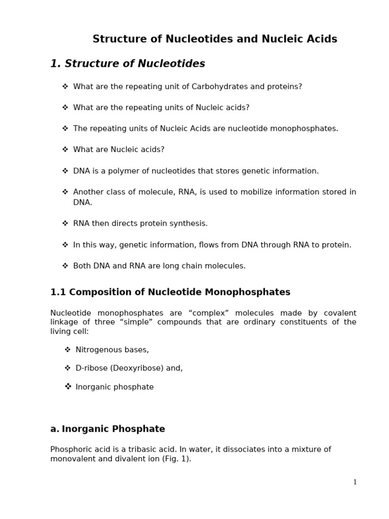 Structure of Nucleotides and DNA | PDF | Nucleotides | Dna