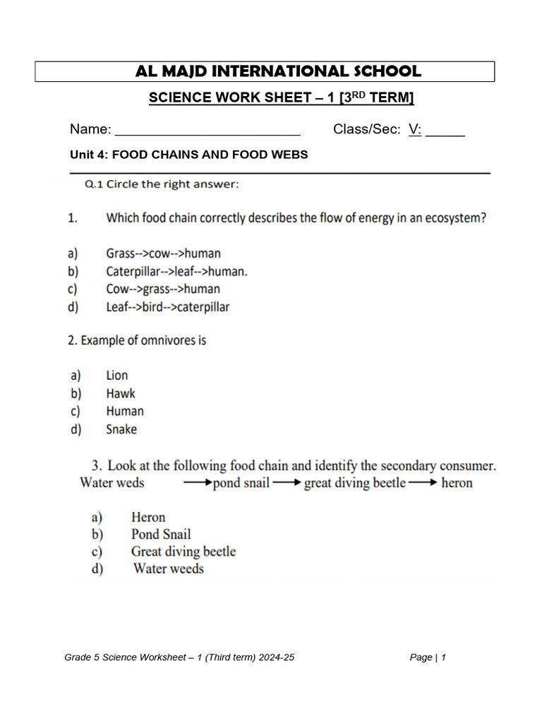 GR 5 Science Wksheet Unit - 4 Food Chains and Food Webs | PDF